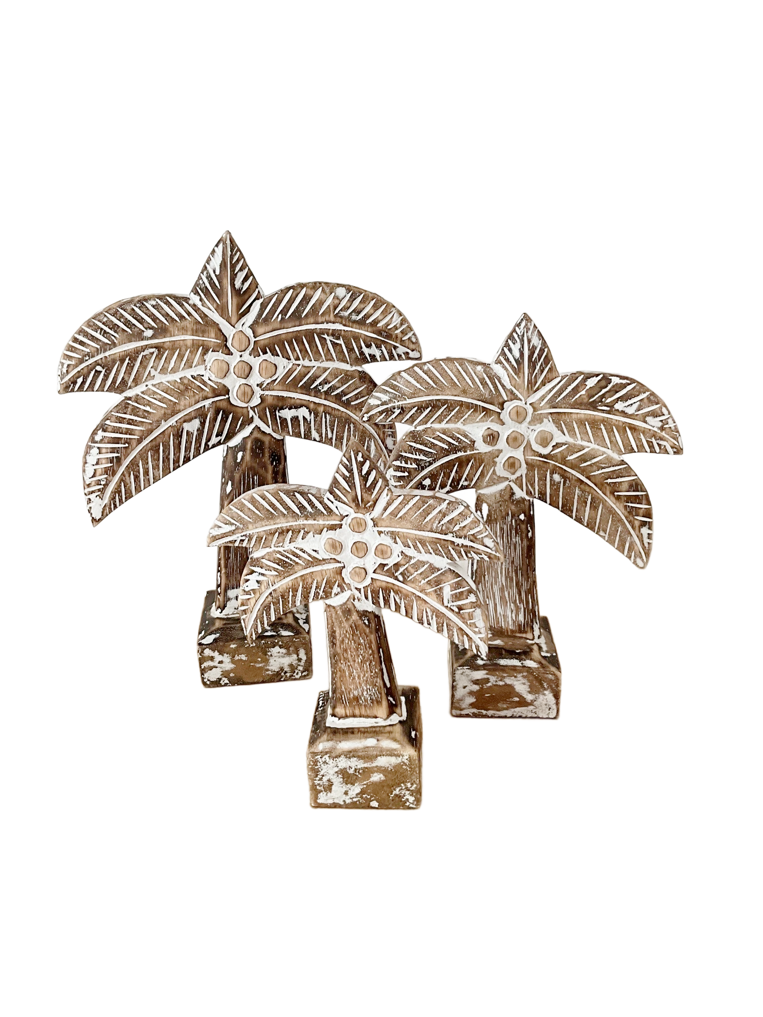 Timber Palm Tree – Island Boho